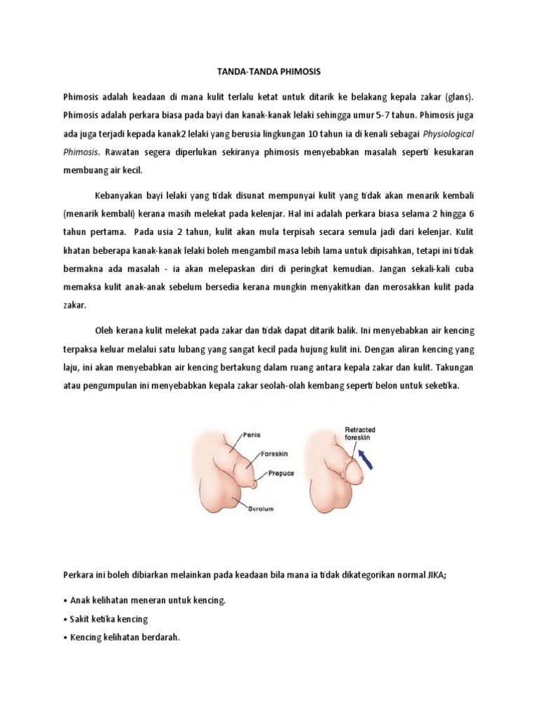 Tanda-Tanda Penyakit Phimosis | PDF