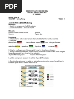 Grading Rubric For DNA Model | PDF | Dna | Base Pair