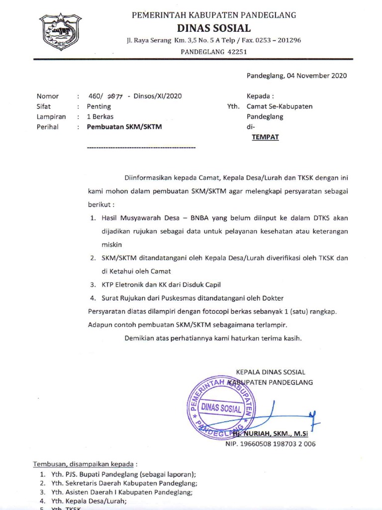 Surat Dinas SKM - DTKS - 2020 | PDF