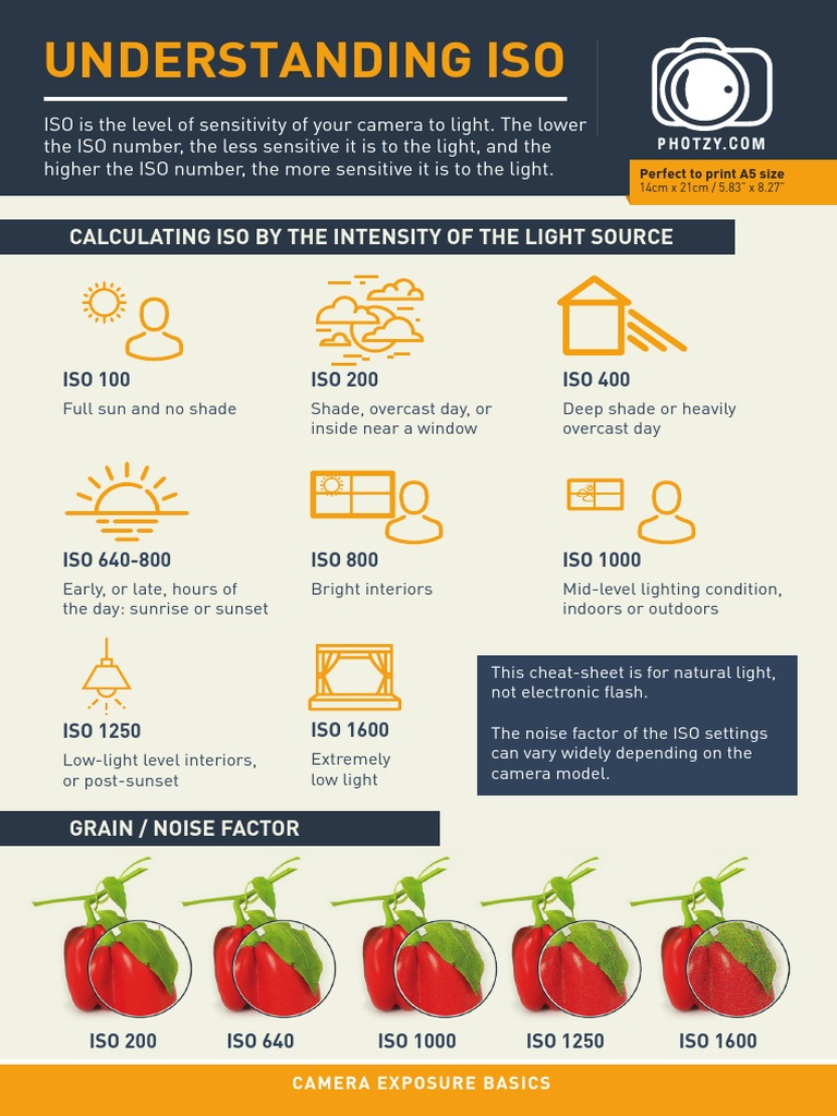 Camera ISO Exposure Guide | PDF | Home & Garden