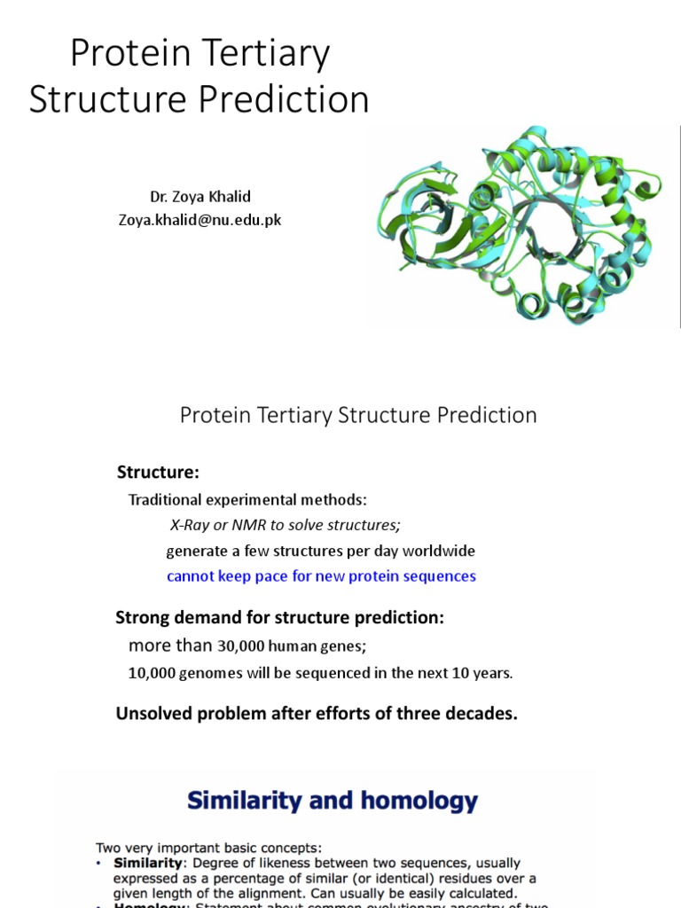 3D Structure Prediction | Download Free PDF | Protein Folding | Proteins