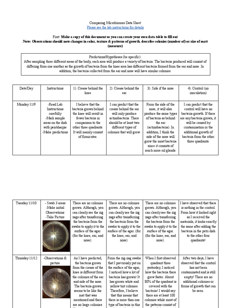 Julie Bui - Comparing Microbiomes Sample Data Sheet | PDF | Bacteria ...