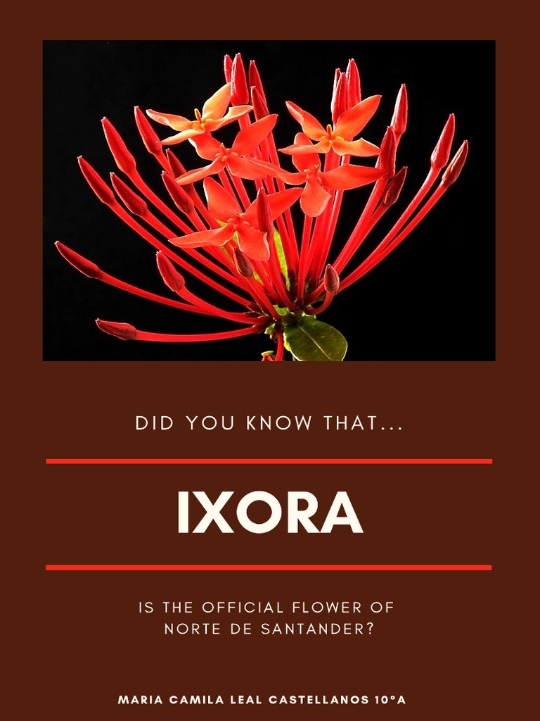 Ixora PDF | PDF