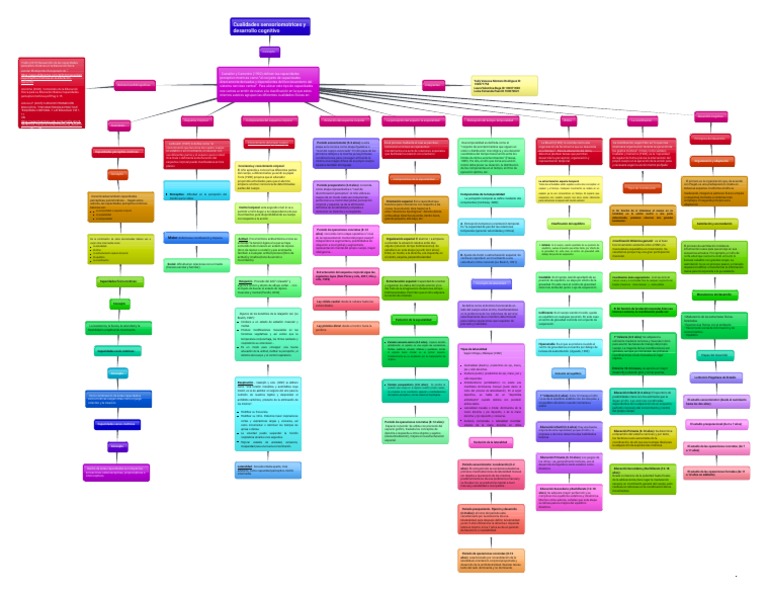 Cualidades Sensoriomotrices y Desarrollo Cognitivo Mapa Concep. | PDF | Percepción | Ritmo