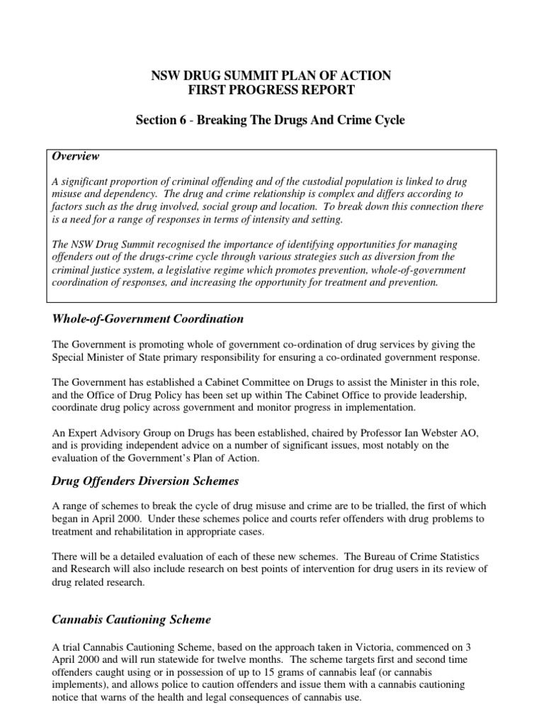 Nsw Drug Summit Plan of Action | Substance Abuse | Drug Rehabilitation
