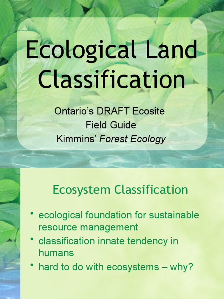 Ecological Land Classification: Ontario's DRAFT Ecosite Field Guide ...