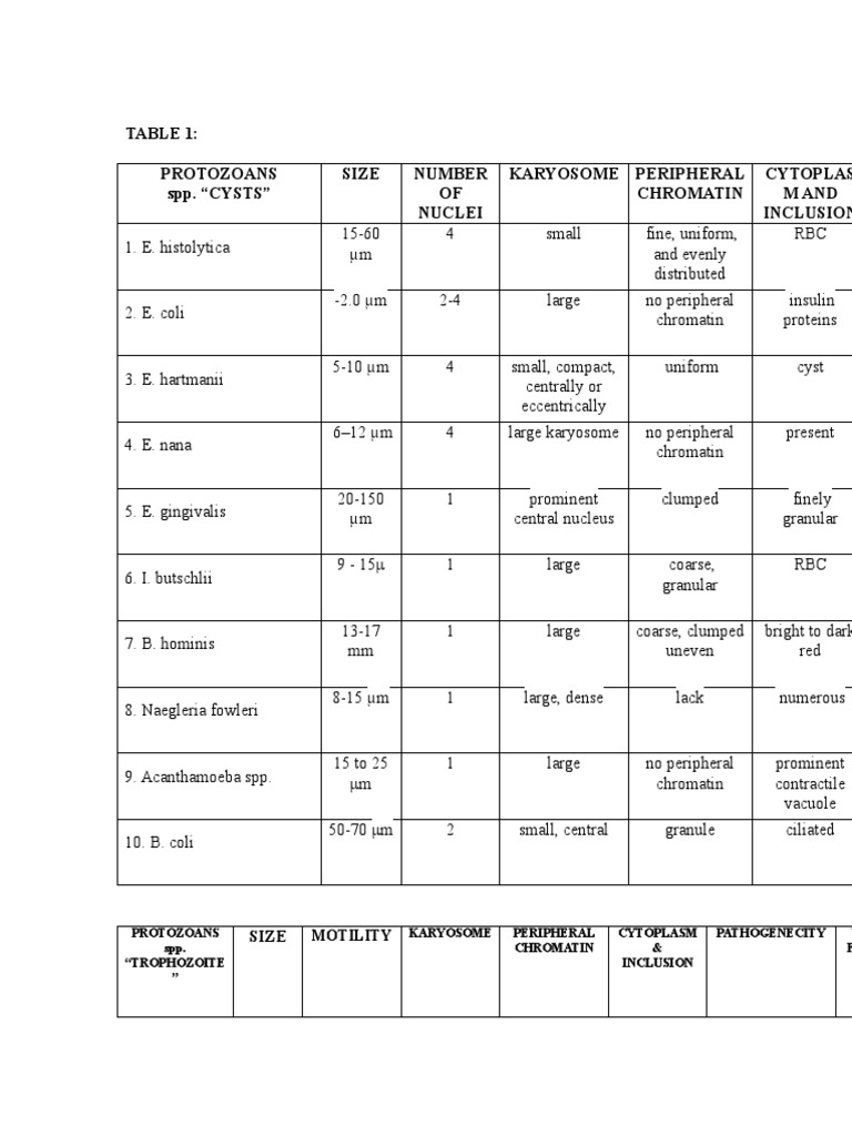 Table 1: Protozoans Spp. "CYSTS" Size Number OF Nuclei Karyosome ...