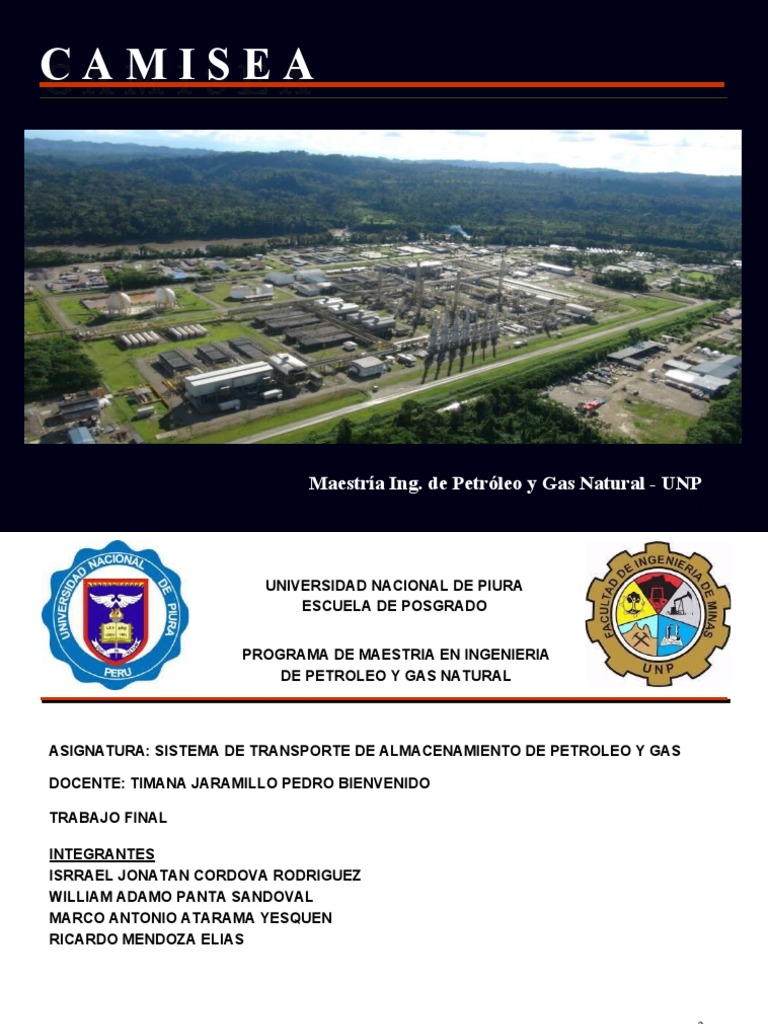 Proyecto Camisea | PDF | Gas natural licuado | Petróleo