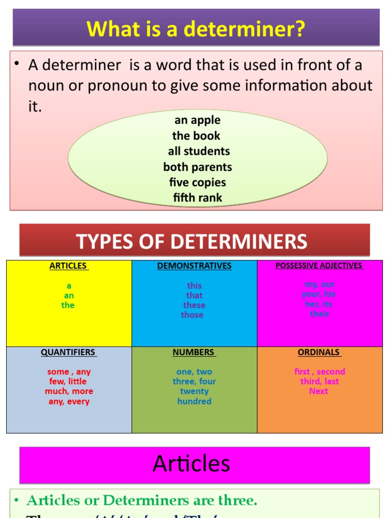 Determiners | PDF | Grammatical Number | Noun