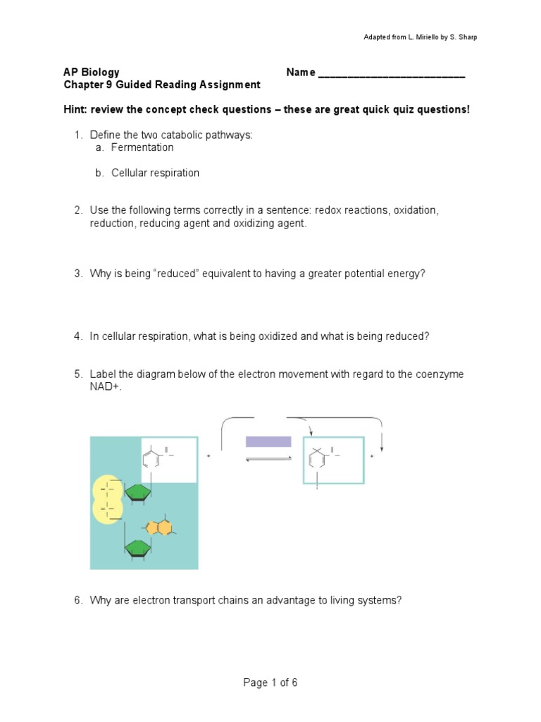 AP Biology Name - Chapter 9 Guided Reading Assignment Hint: Review The ...