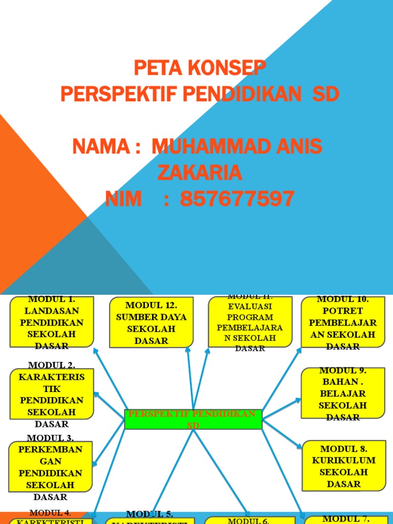 Peta Konsep Perspektif Pendidikan SD - Muh. Anis Zakaria - 857677597 | PDF