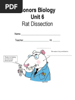 Dissection of The Rat | PDF | Aorta | Large Intestine