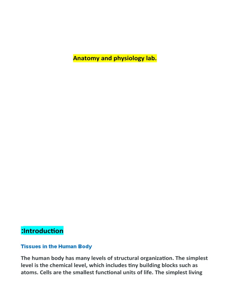 Anatomy and Physiology Lab | PDF | Epithelium | Bone