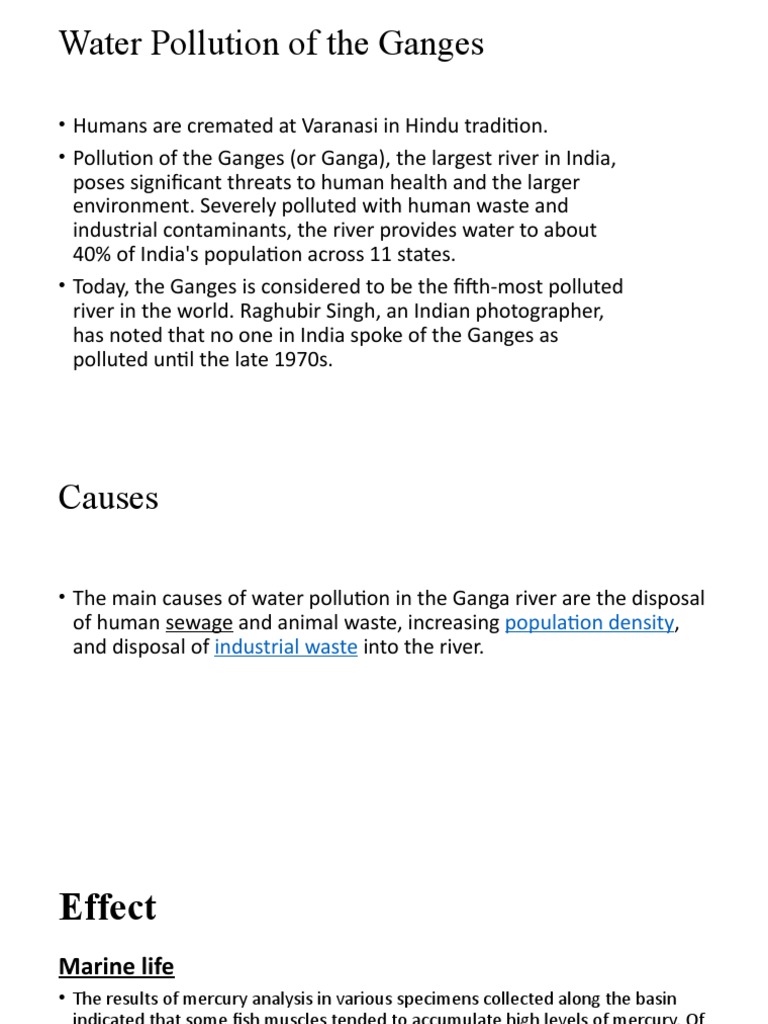 Water Pollution of The Ganges | PDF