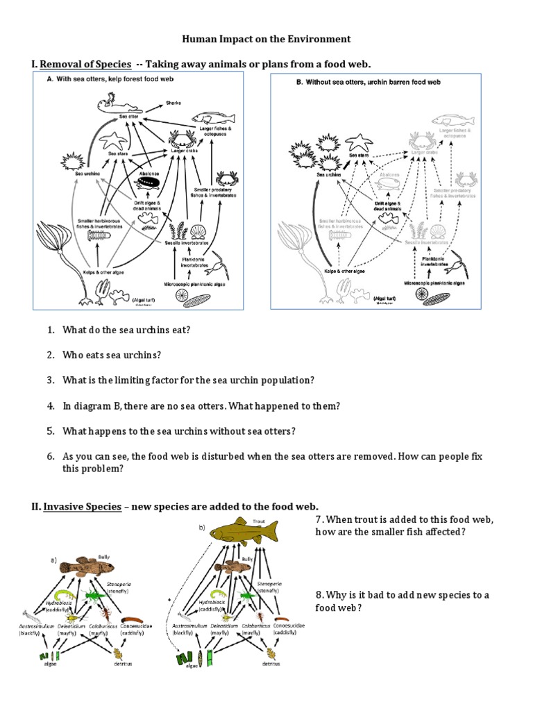 Ecology Human Impactonthe Food Web | PDF