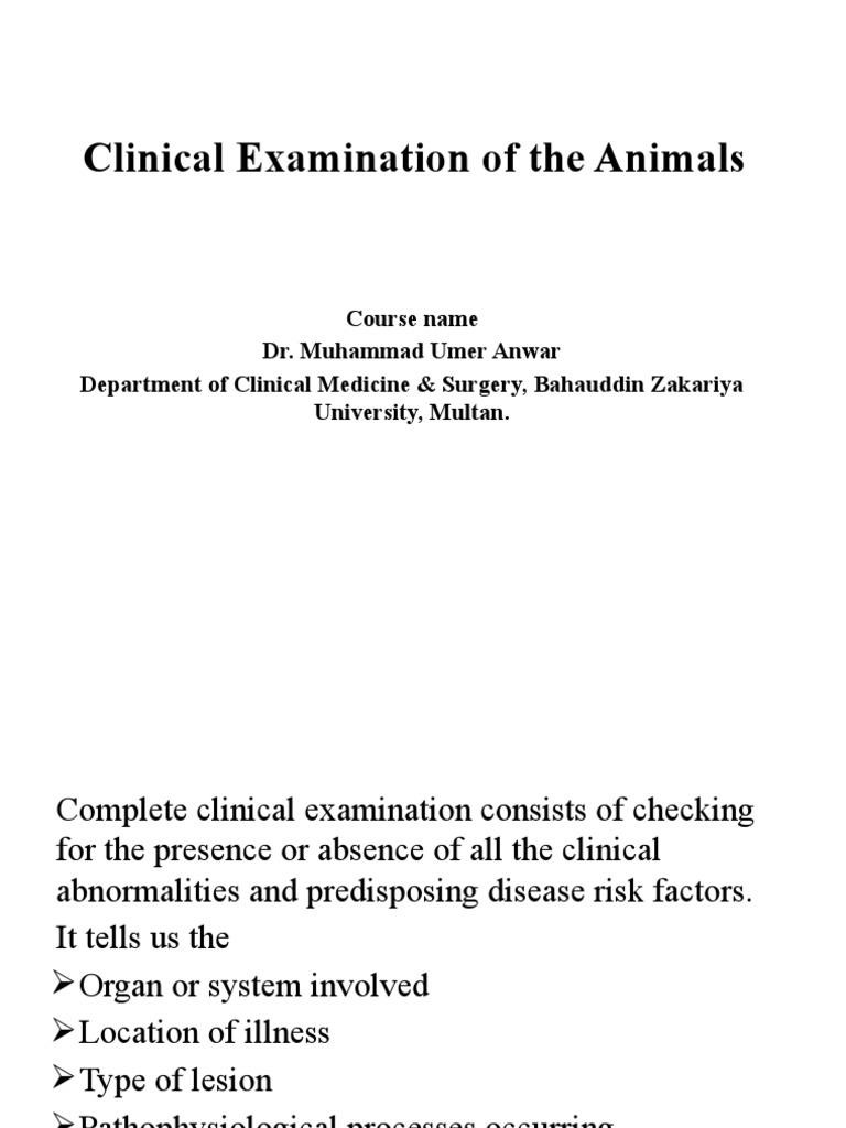 Clinical Examination of The Animal | PDF | Physical Examination | Risk
