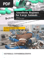 Anesthesia Cheat Sheet: Dogs Cats | PDF