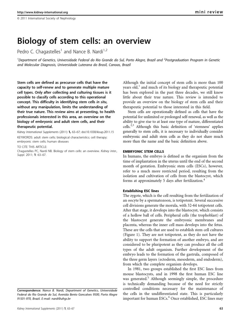 Biology of Stem Cells | PDF | Cell Potency | Stem Cell