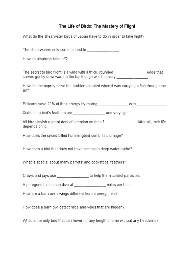 The Mastery of Flight Video Worksheet | PDF | Home & Garden | Science ...