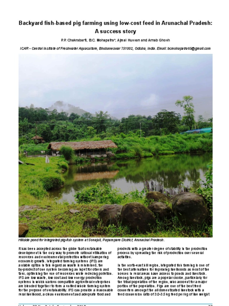 Integrated Pig-Fish Farming Success | PDF | Domestic Pig | Agriculture