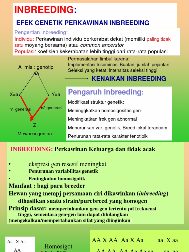 Inbreeding Pada Ternak | PDF