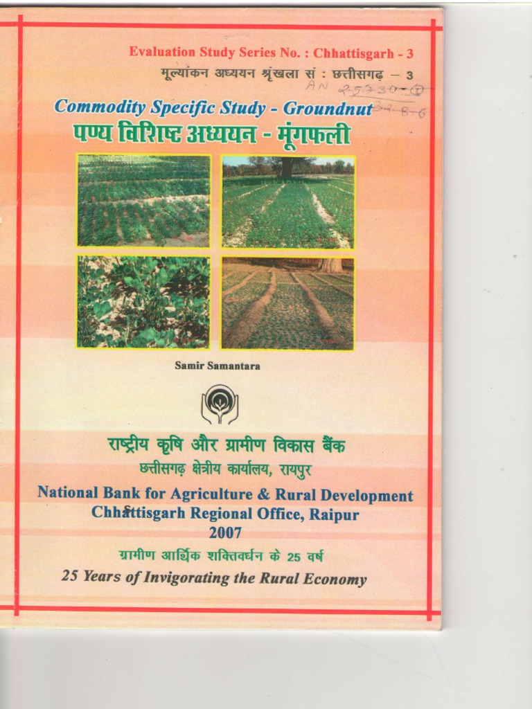 Groundnut Study | PDF | Peanuts | Agriculture