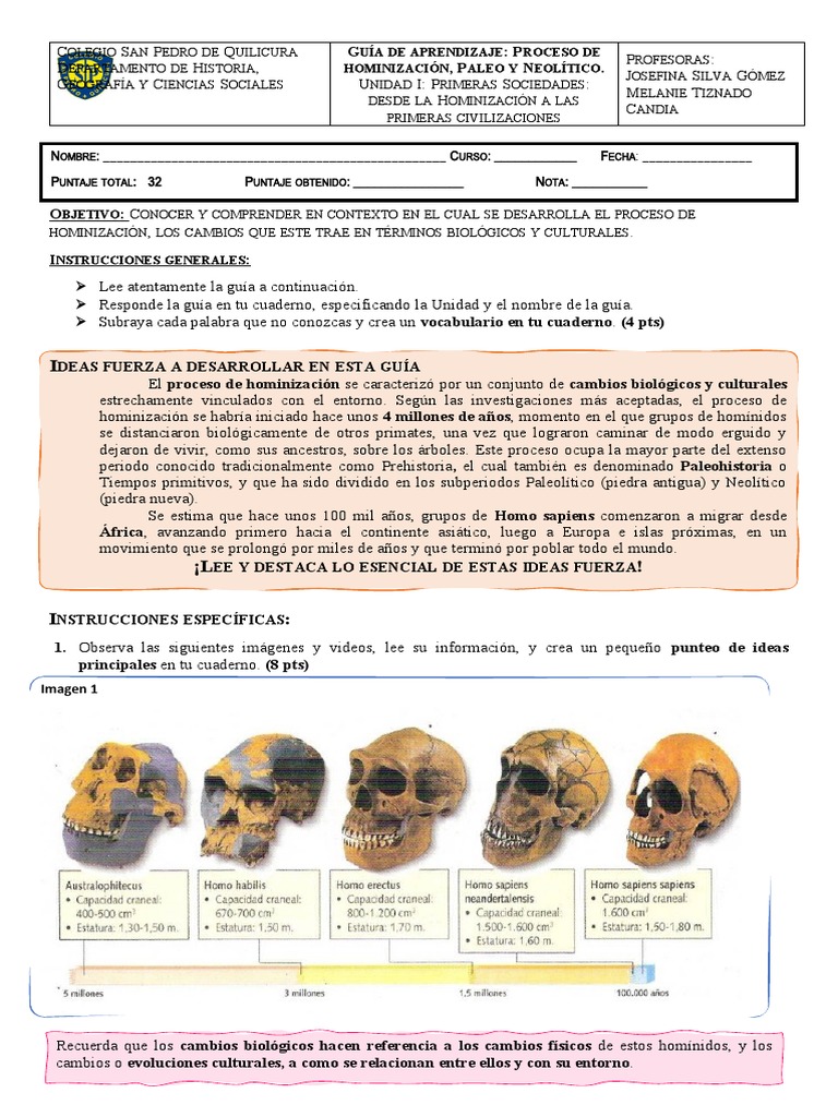 Historia 7° Básico Hominización | PDF | Homo | Evolución humana