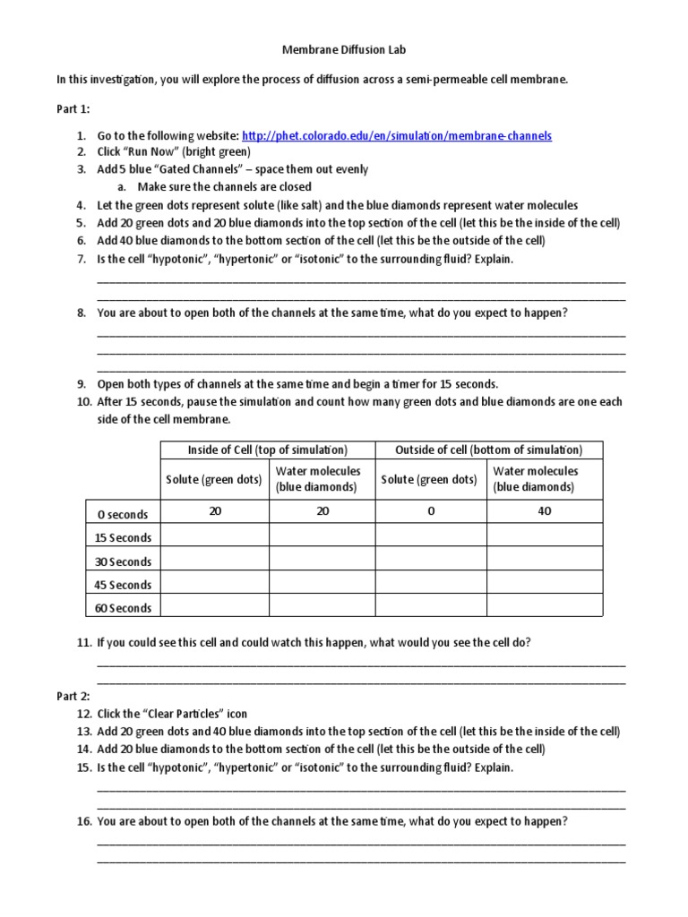 Virtual Membrane Diffusion Lab | PDF | Cell Biology | Chemistry