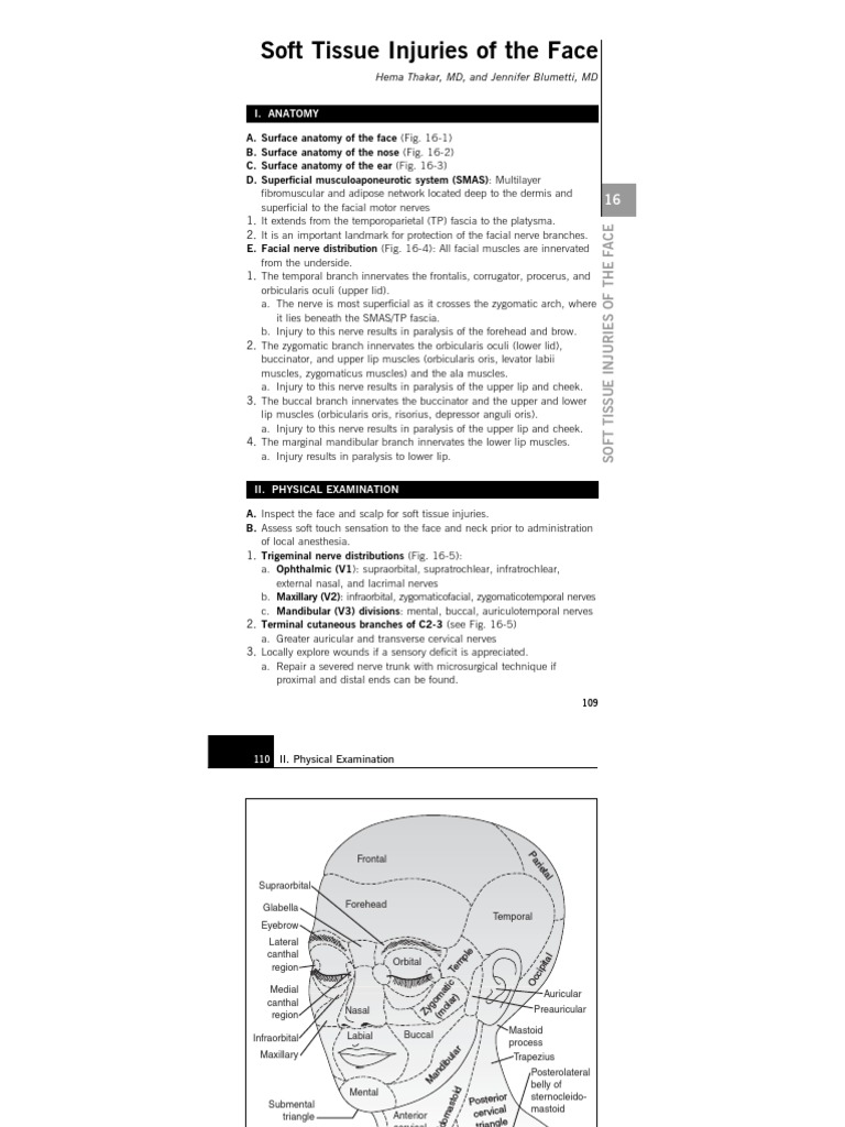 Parkland Trauma Soft Tissue | PDF | Human Nose | Primate Anatomy