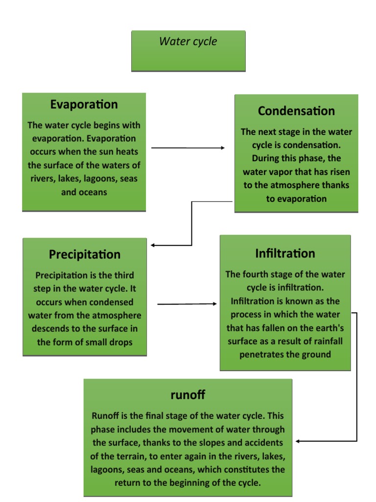 Understanding the Water Cycle Stages | PDF