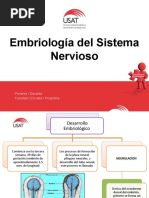 Neurulación en Embriología: Proceso y Etapas | PDF | Anatomía ...