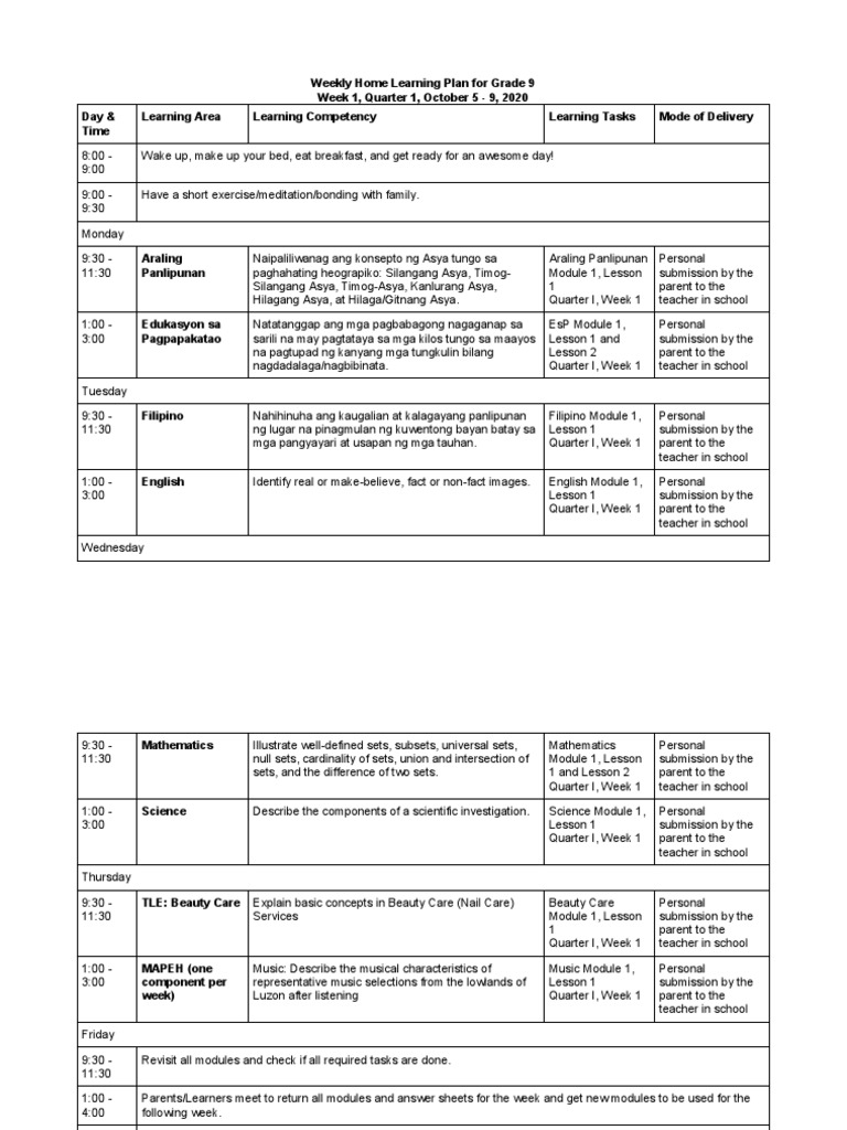 Individual Learning Monitoring Plan | PDF | Scientific Method | Teachers