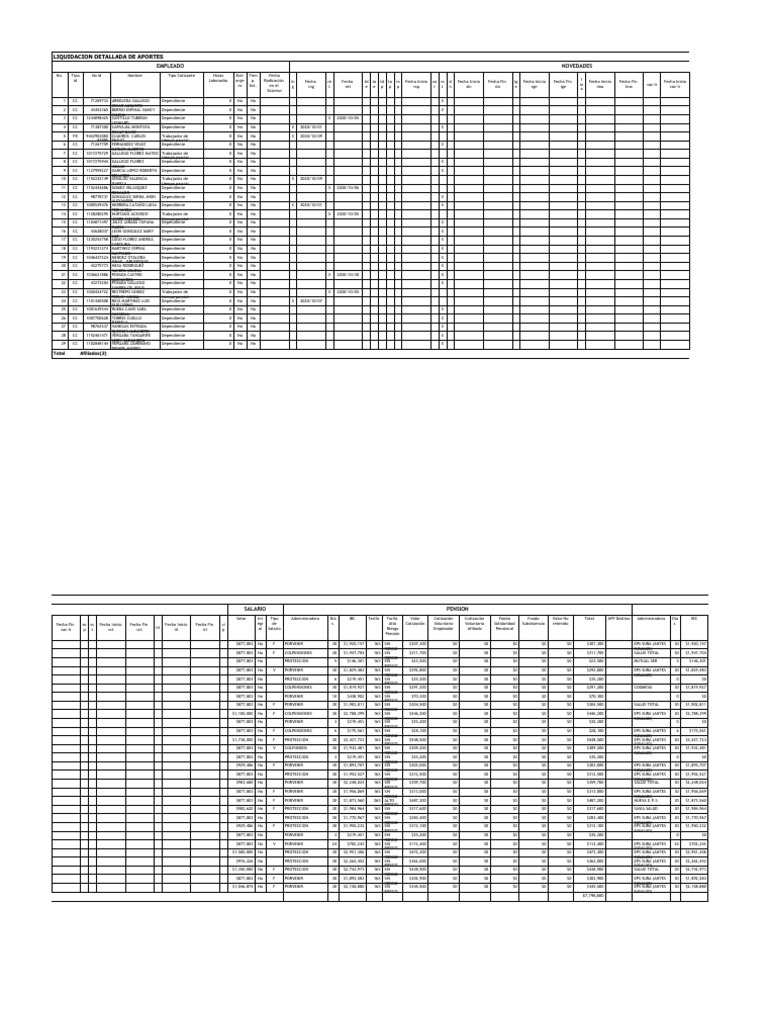 Mafars 131 | PDF | Distribución de ingresos del factor | Pensión