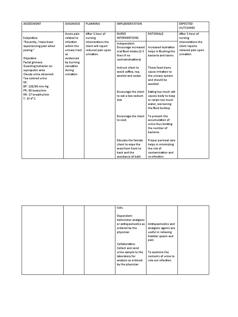 Uti NCP | PDF | Urine | Urination