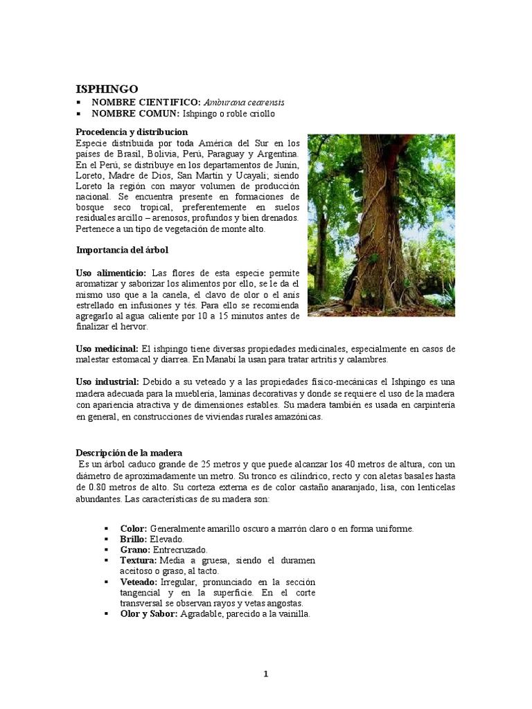 Ishpingo Capirona | PDF | Madera | Arboles