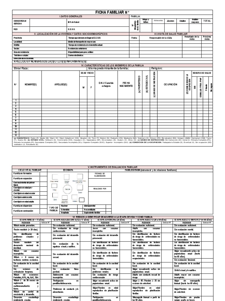 Anexo 1 - Ficha Familiar | PDF | Adultos | Bienestar