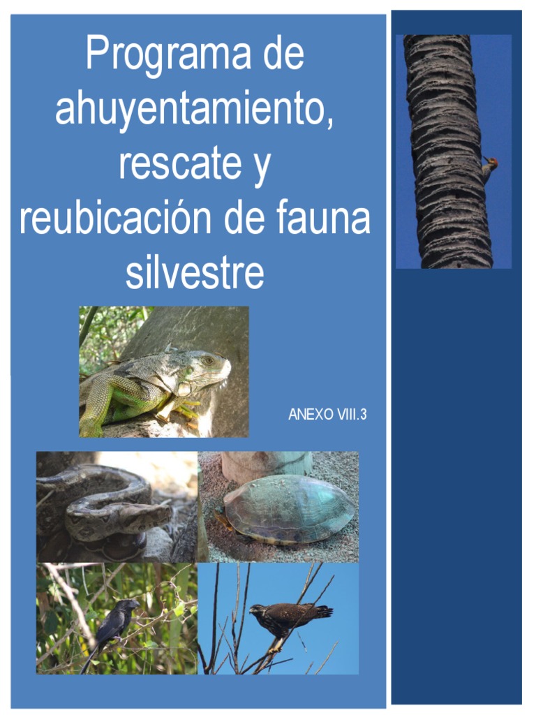 Programa de Ahuyentamiento, Rescate y Reubicación de Fauna Silvestre ...