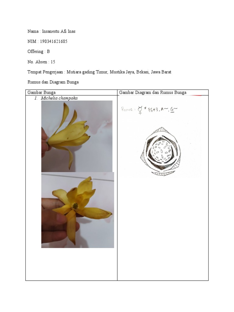 Floral Diagram and Formula | PDF
