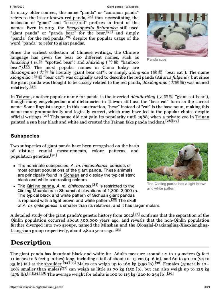 Giant Panda - Wikipedia 3 - Panda Subspecies | PDF