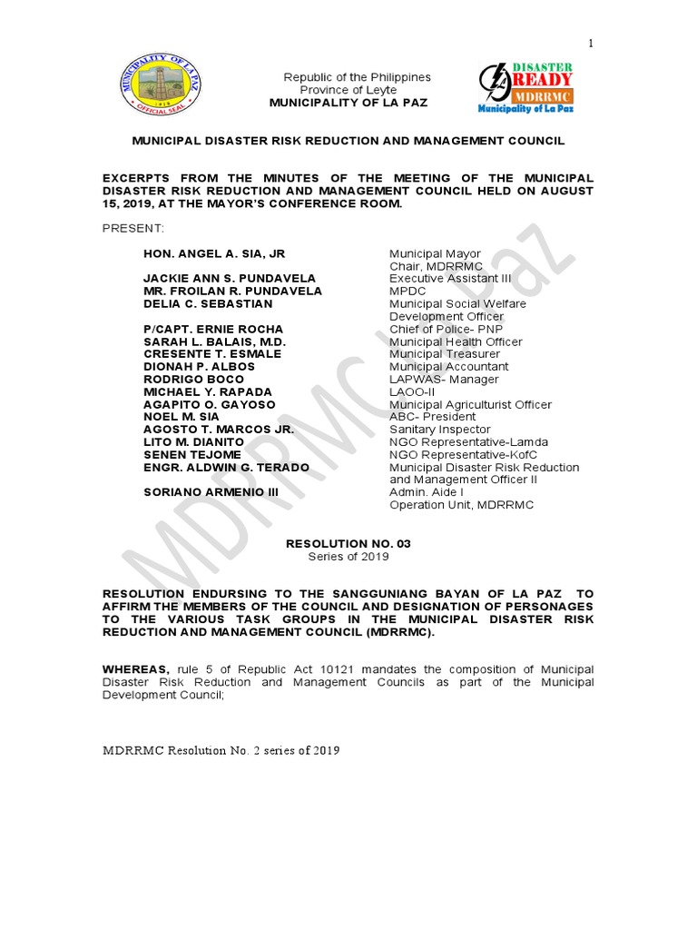 MDRRMC Resolution No. 3 2019 | PDF | Public Sphere | Policy