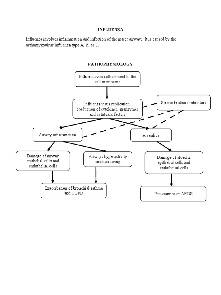 Influenza PATHOPHYSIOLOGY | PDF | Influenza | Respiratory Tract