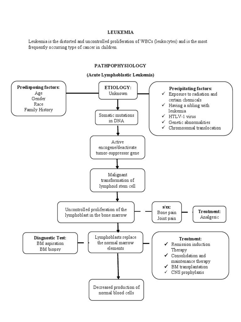 Leukemia PATHOPHYSIOLOGY | PDF | Leukemia | Cancer
