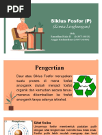 Fosfor: Definisi, Sifat, dan Fungsi | PDF