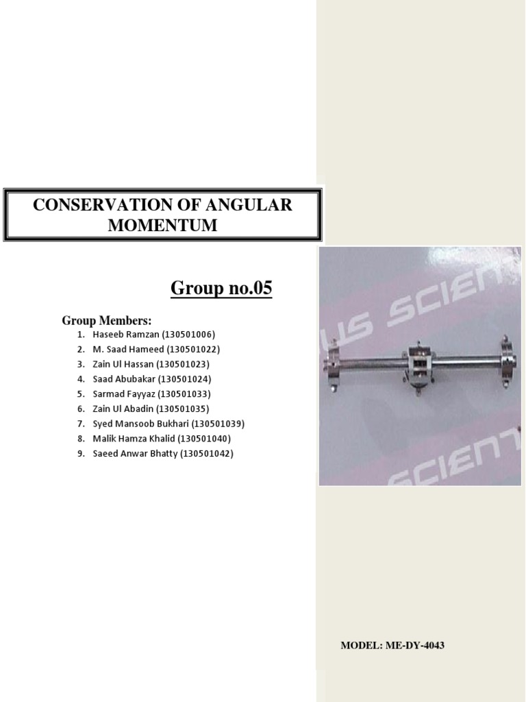 Lab Report No 8 | PDF | Angular Momentum | Torque