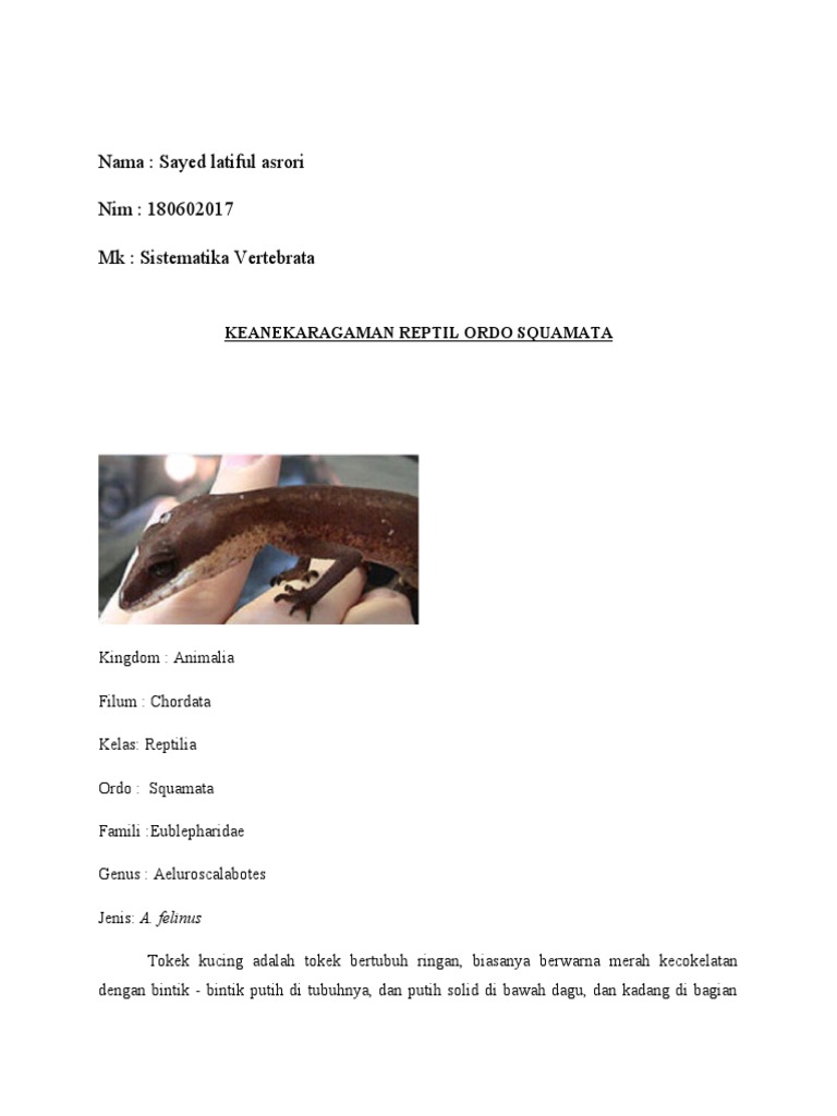 Klasifikasi Reptil Ordo Squamata | PDF | Griya & Taman