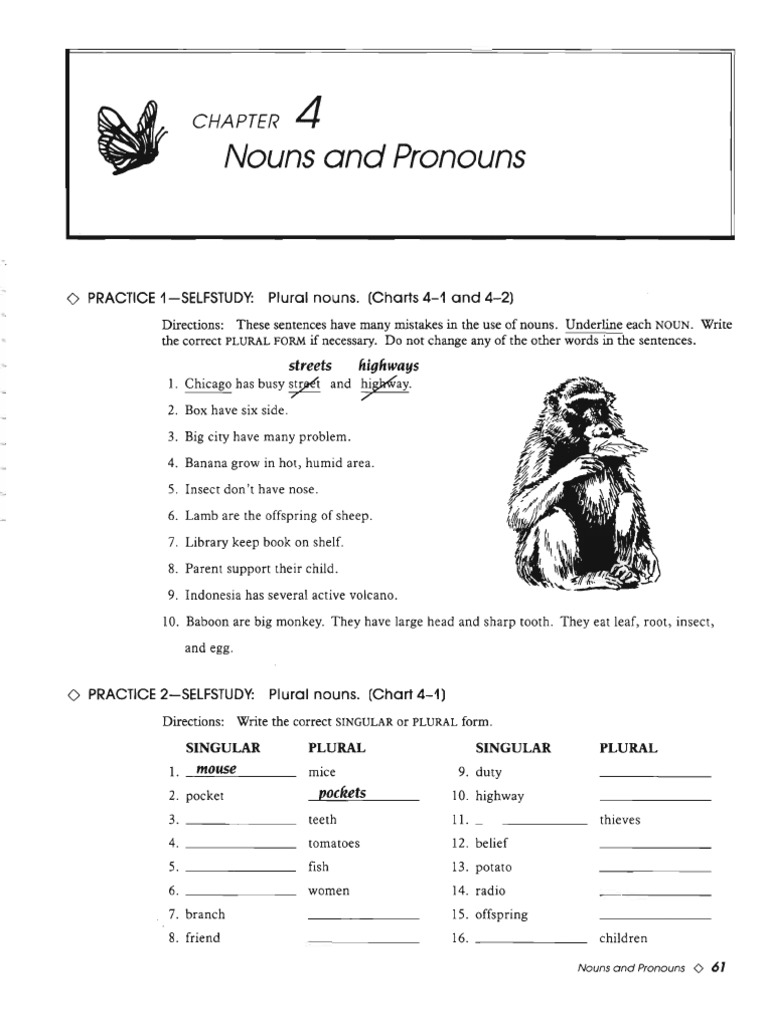 Singular and Plural Pronouns Guide | PDF | Verb | Noun