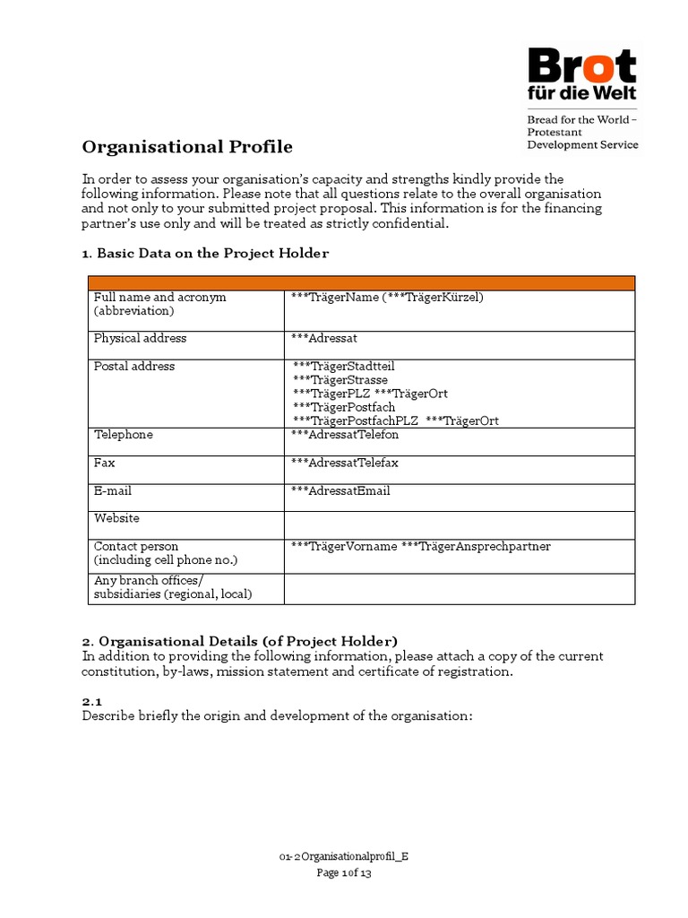 Organisational Profile Overview | PDF | Accounting | Non Governmental ...