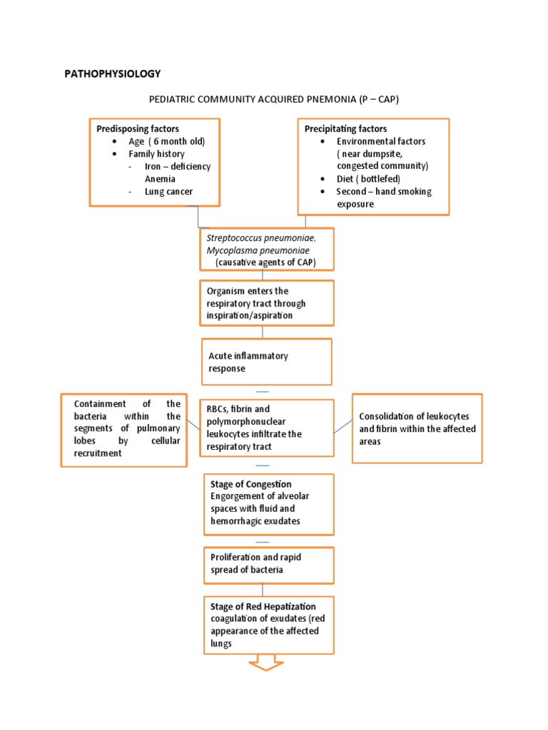 PCAP Pediatric Community Acquired Pneumonia PATHOPHYSIOLOGY | PDF ...