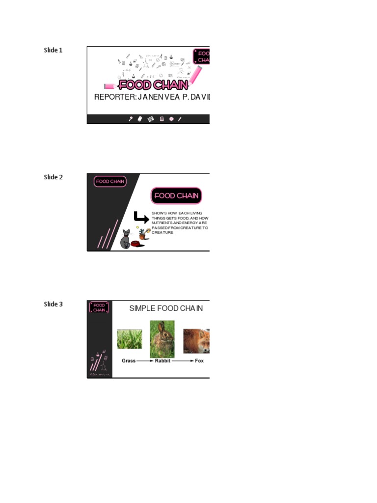 Food Chain Hand Out | PDF | Ecological Restoration | Ecosystem