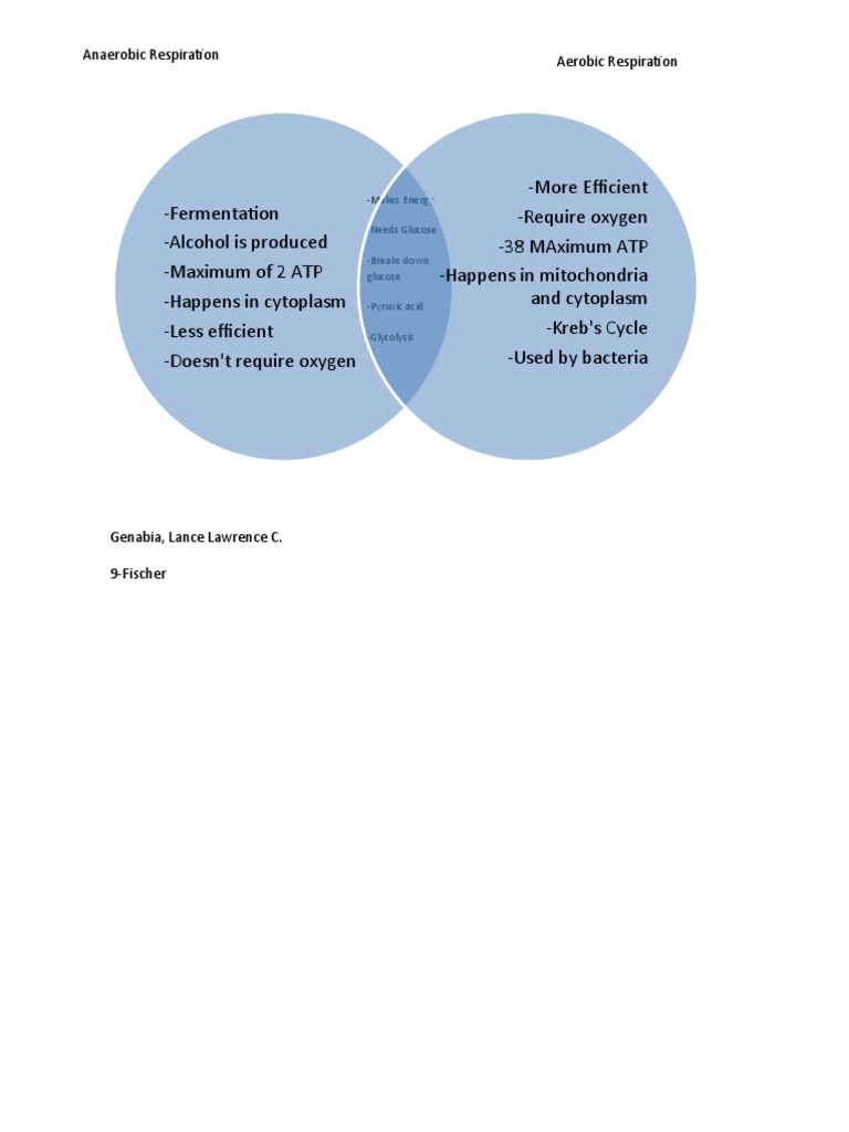 Aerobic vs Anaerobic Respiration Explained | PDF